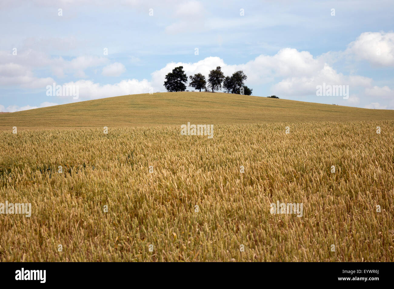 Idlicote Hill High Resolution Stock Photography and Images - Alamy
