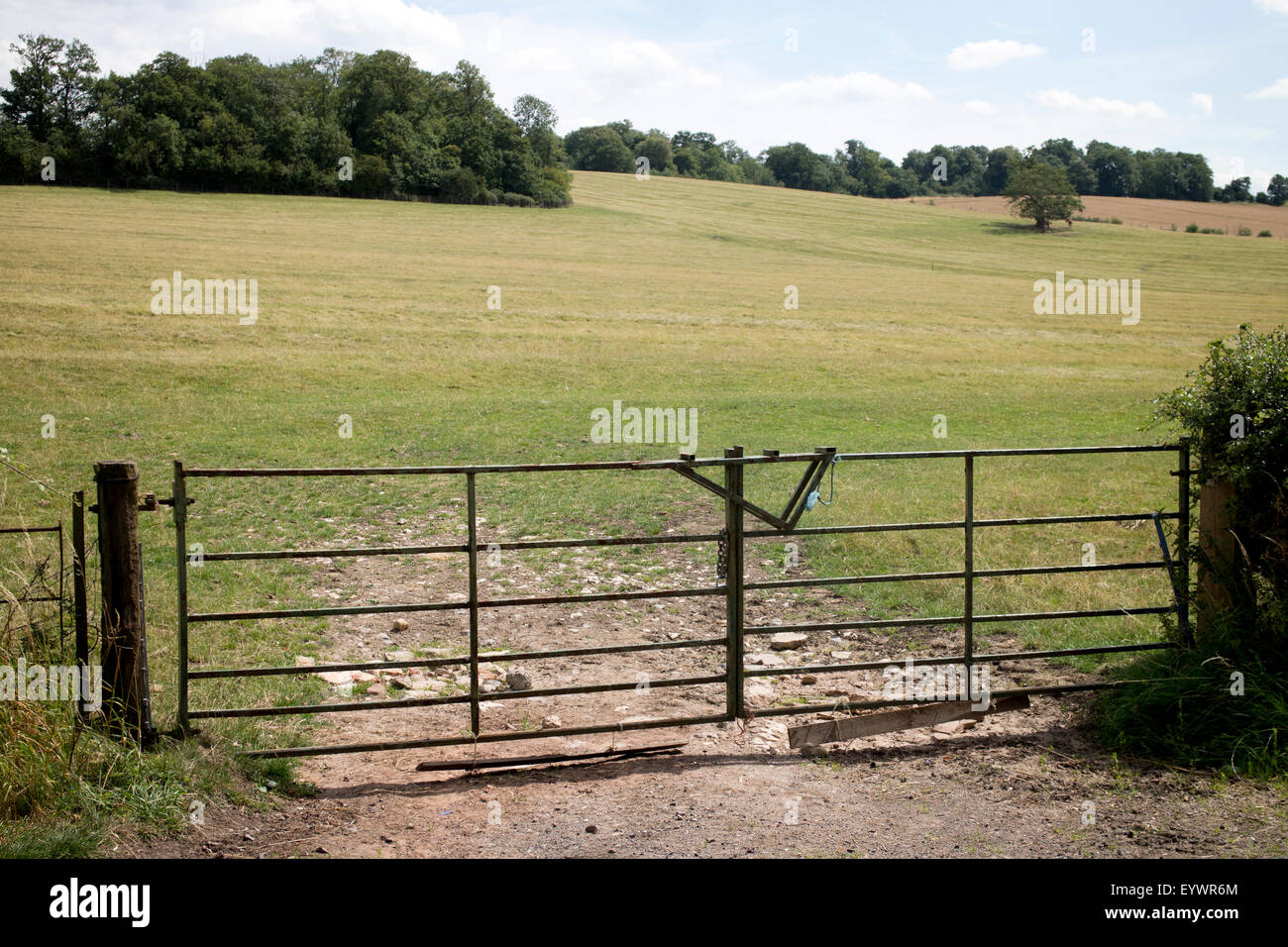 Metal farm gate hi-res stock photography and images - Alamy