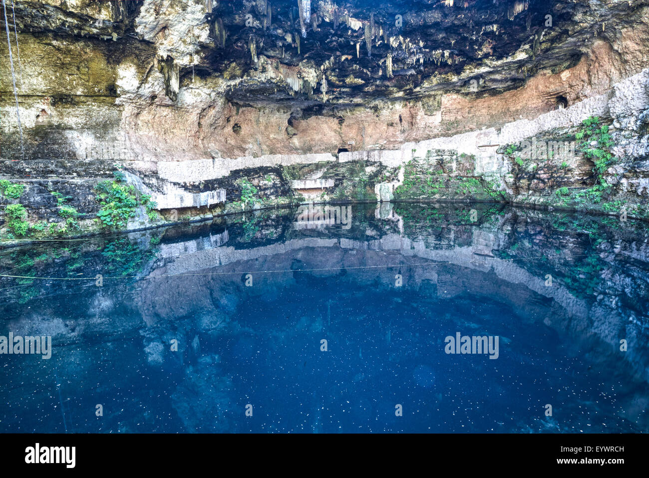 Cenote Zaci, Valladolid, Yucatan, Mexico, North America Stock Photo - Alamy