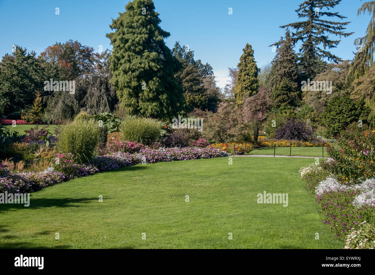 Open sunny area plant hi-res stock photography and images - Alamy