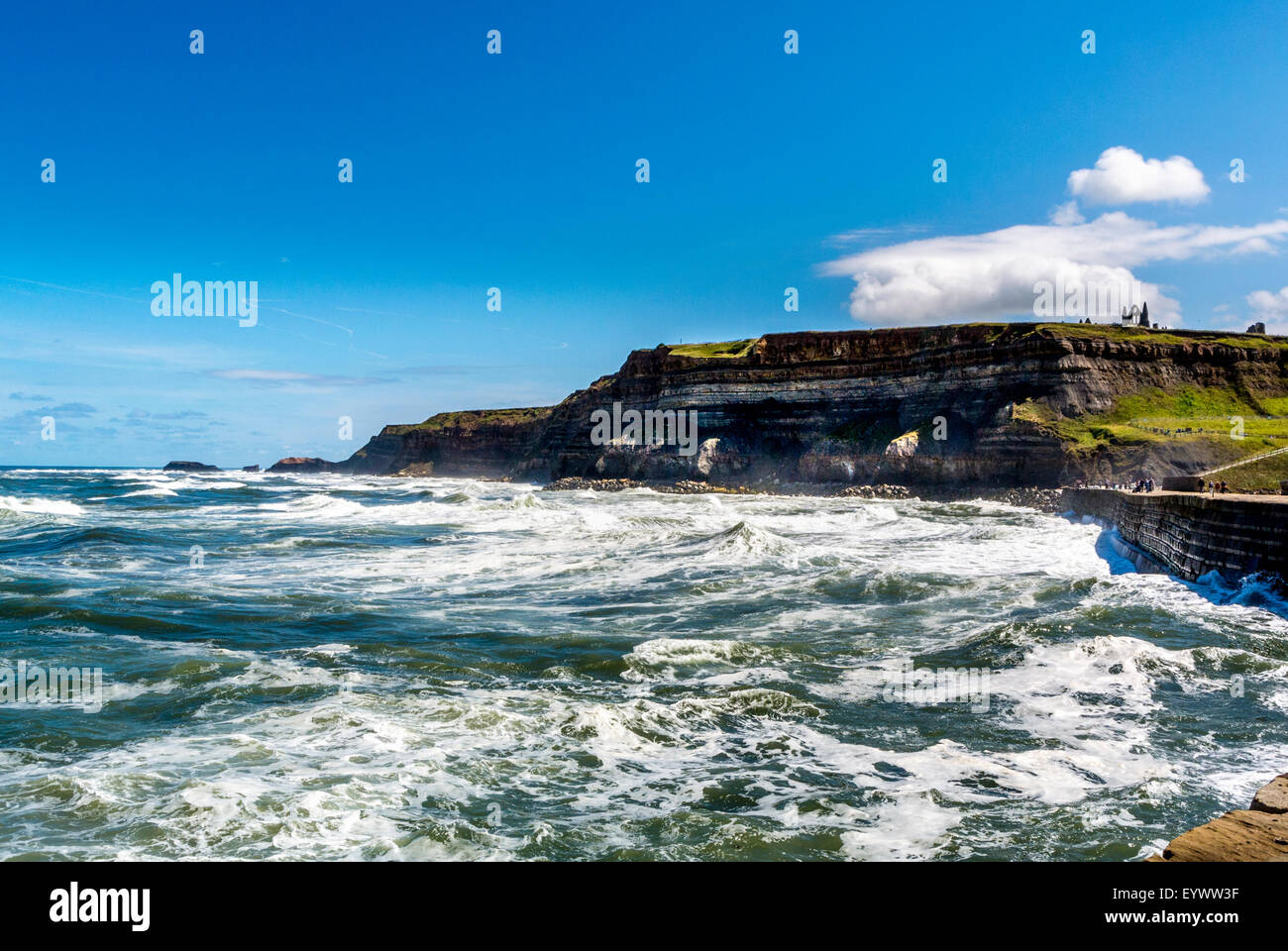 East Cliff top with the ruins of Whitby Abbey in the distance. Rough ...