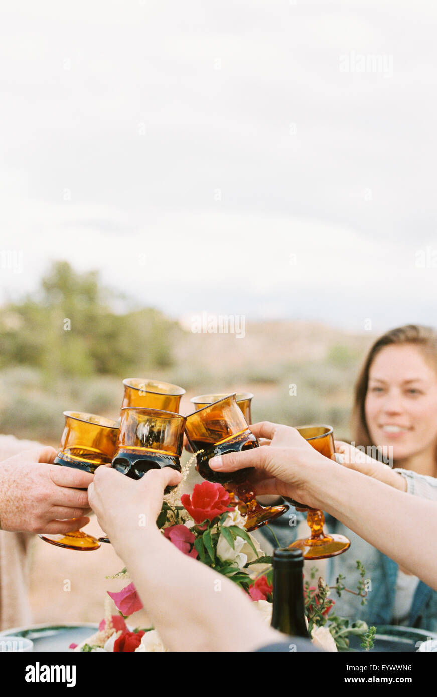 Woman raising toast camera drinking hi-res stock photography and images ...