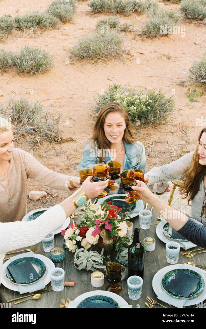 Woman raising toast camera drinking hi-res stock photography and images ...