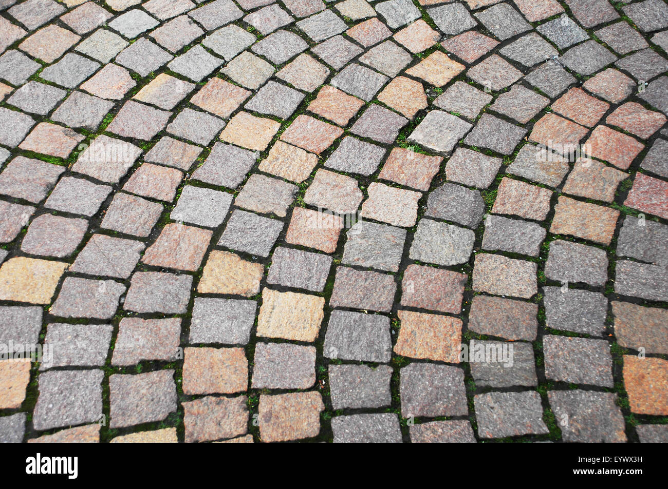 Tails on the Footpath Stock Photo - Alamy