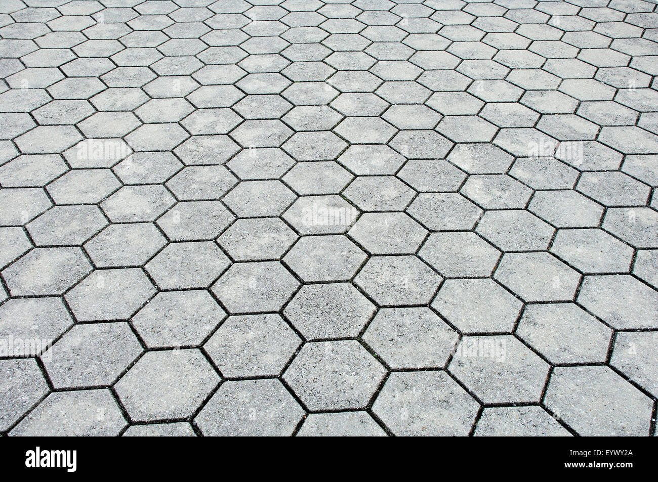 Tails on the Footpath Stock Photo - Alamy