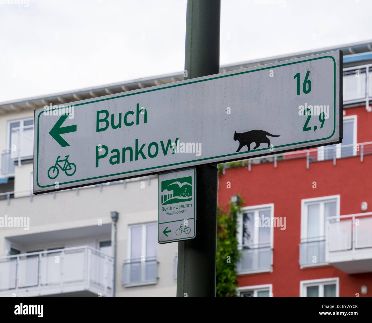 Street direction sign with black cat street art graffiti, Berlin Stock ...