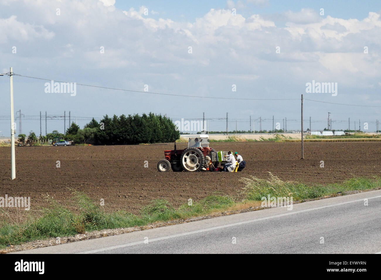Two men sitting behind a tractor planting seedlings Stock Photo - Alamy