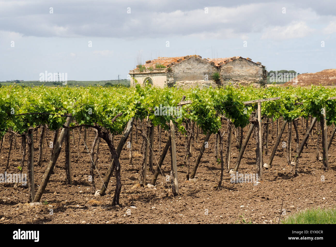 Italian farm building hi-res stock photography and images - Alamy