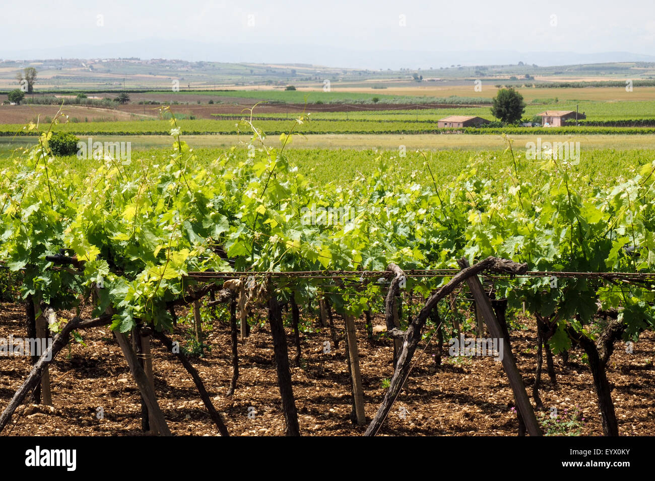 Puglia italy countryside hi-res stock photography and images - Alamy