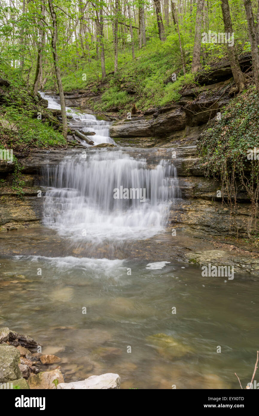 Wooded streams hi-res stock photography and images - Alamy