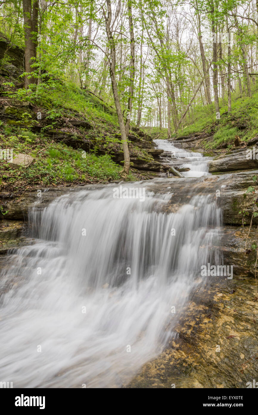 Wooded streams hi-res stock photography and images - Alamy