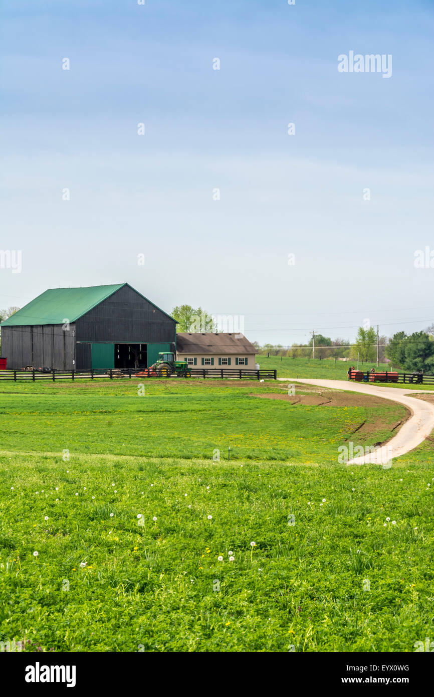 Barn on a farm in the Bluegrass region of Kentucky USA Stock Photo - Alamy