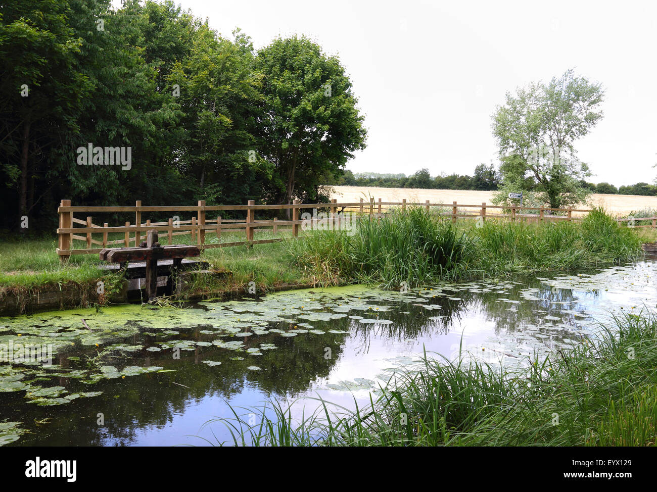 National Trust property, Anglesey Abbey, Lode, Cambridgeshire, England ...
