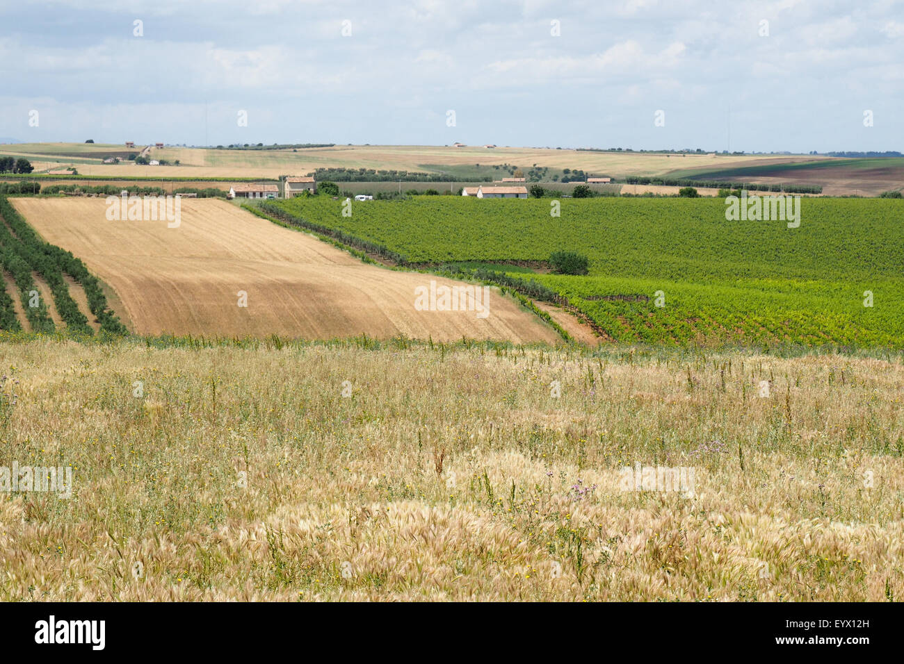 Mixed farming hi-res stock photography and images - Alamy