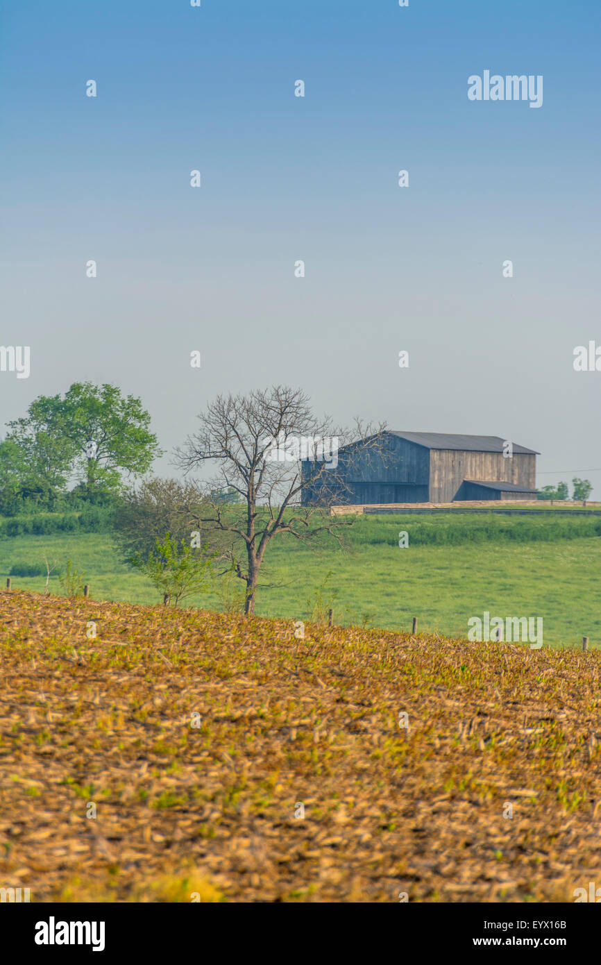 Barn on a farm in the rolling Bluegrass region of Kentucky USA Stock ...