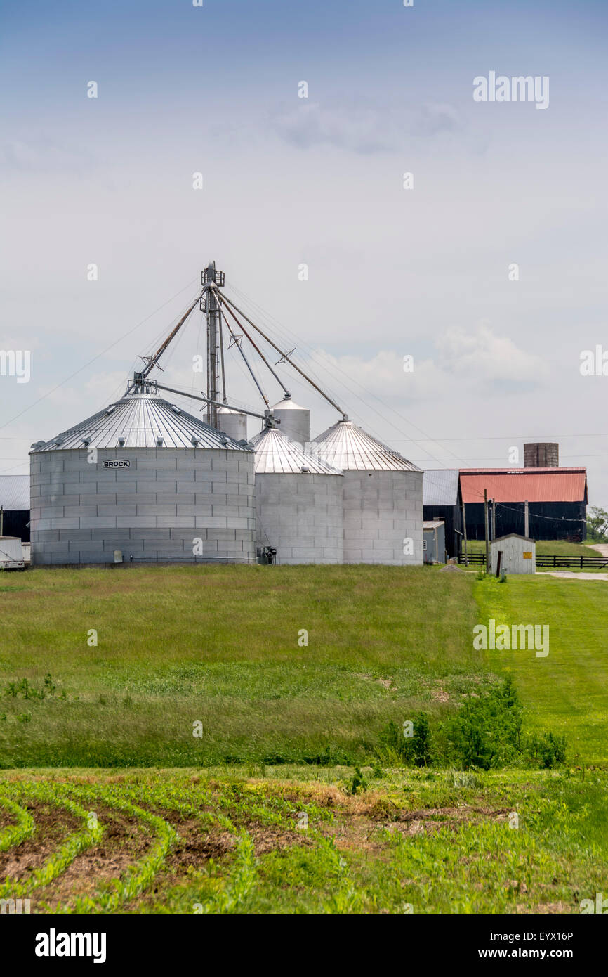 Large silos on a farm in Kentucky USA Stock Photo - Alamy