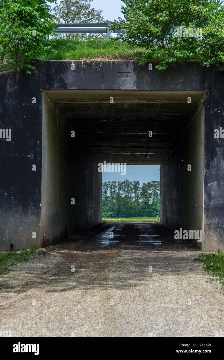 Road underpasses hi-res stock photography and images - Alamy