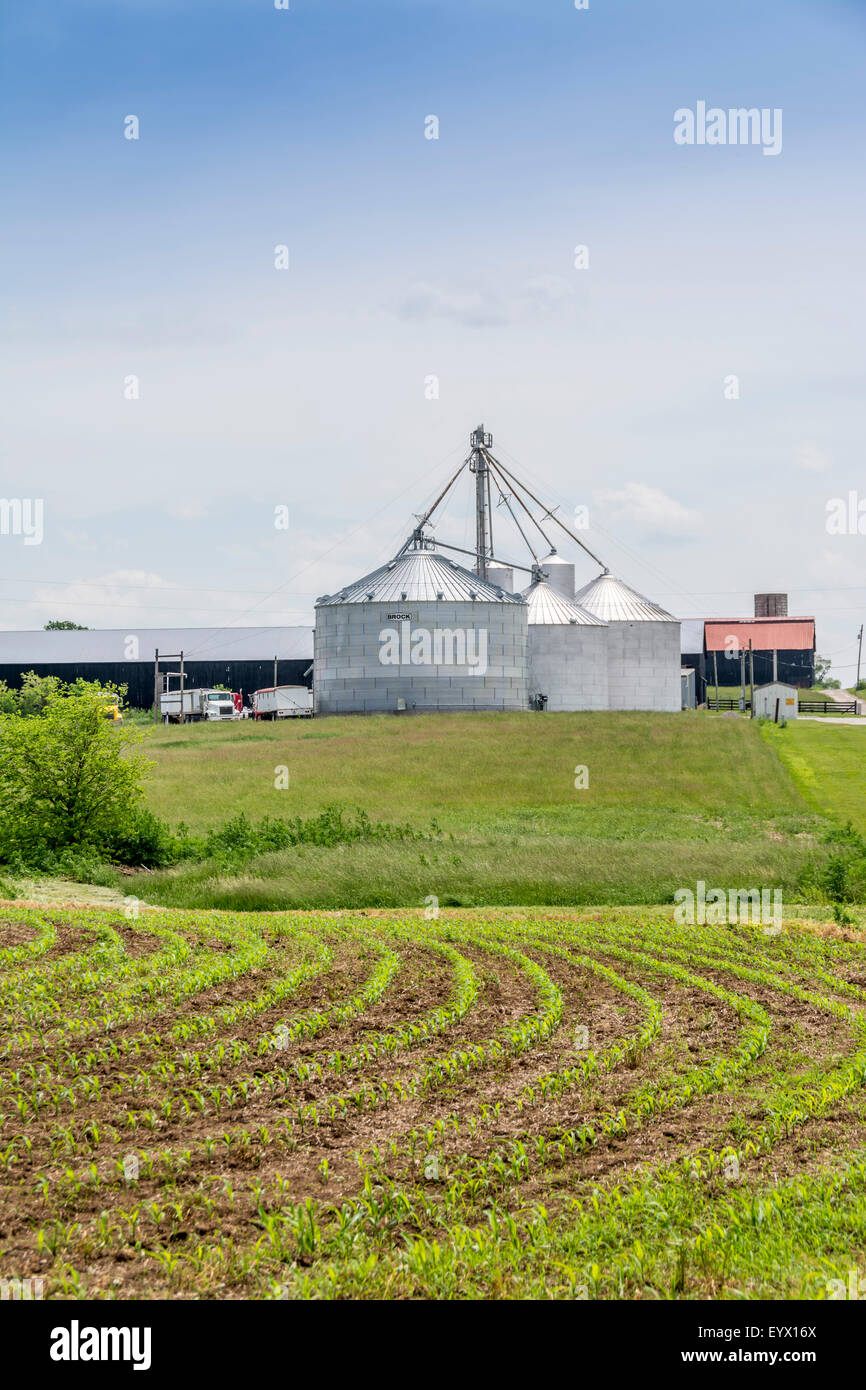 Farm farms farming barn barns silo silos hi-res stock photography and ...