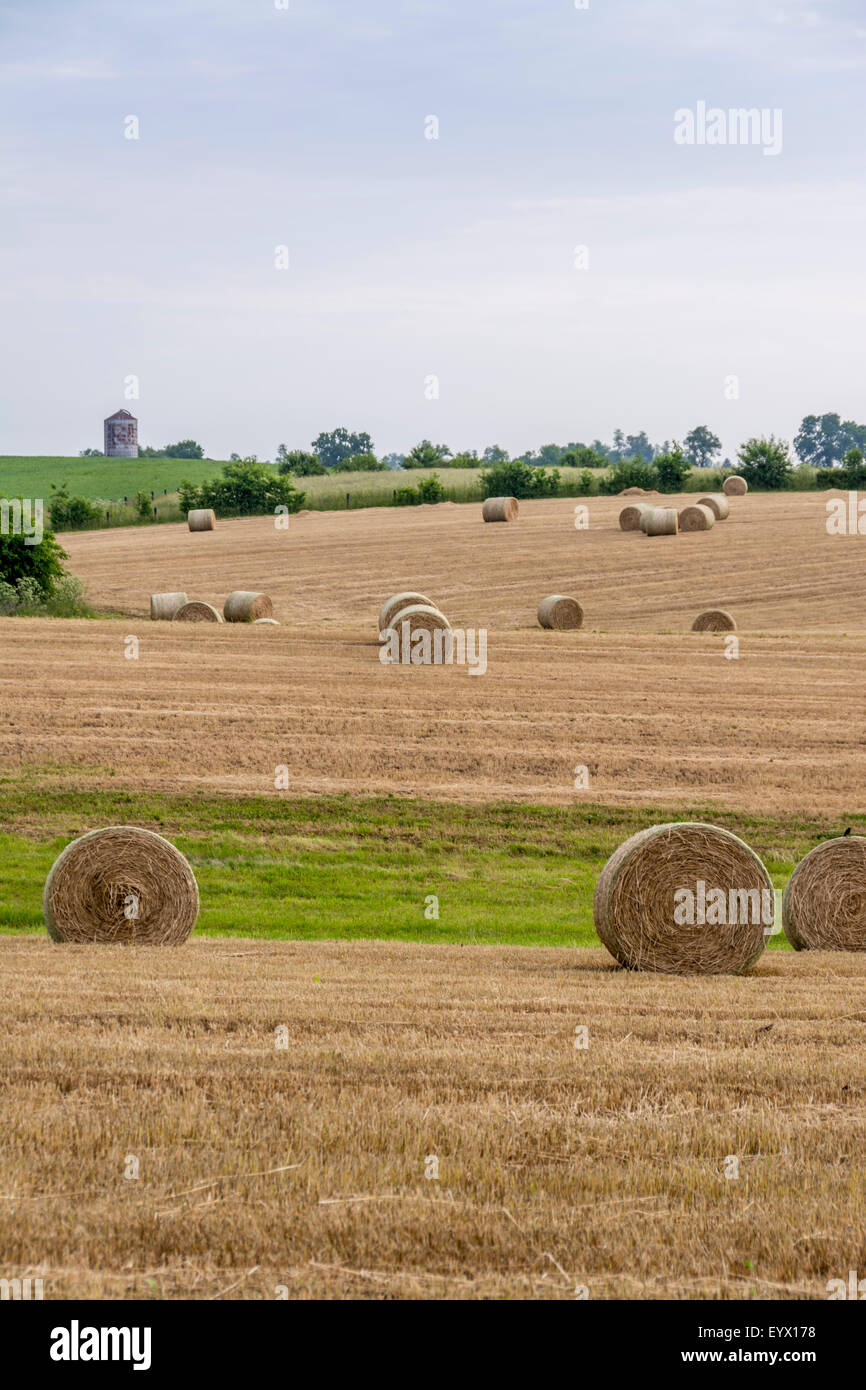 Hay silo hi-res stock photography and images - Alamy