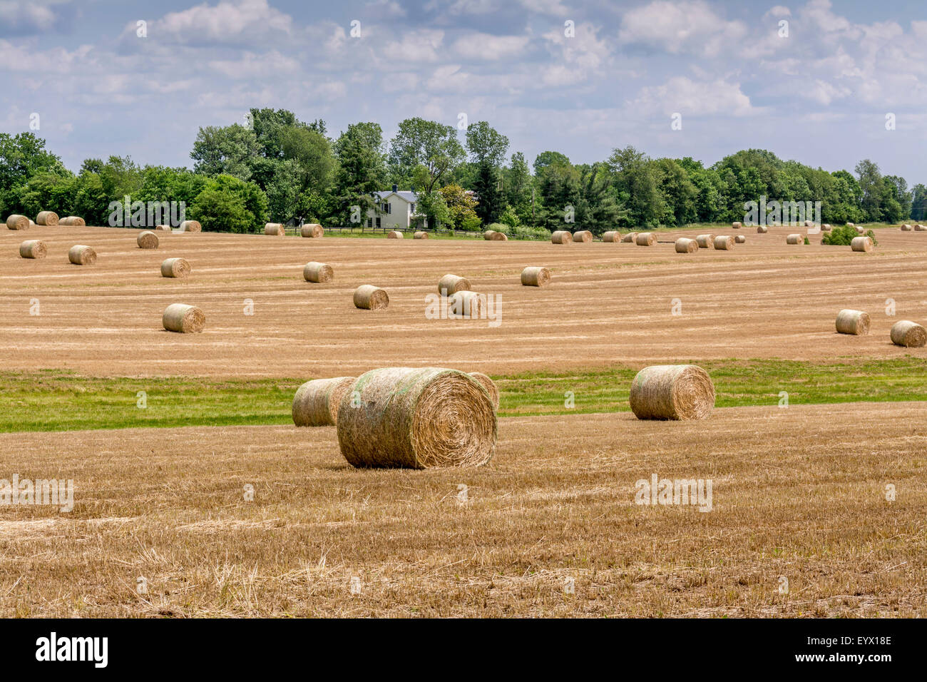 Bale house hi-res stock photography and images - Alamy