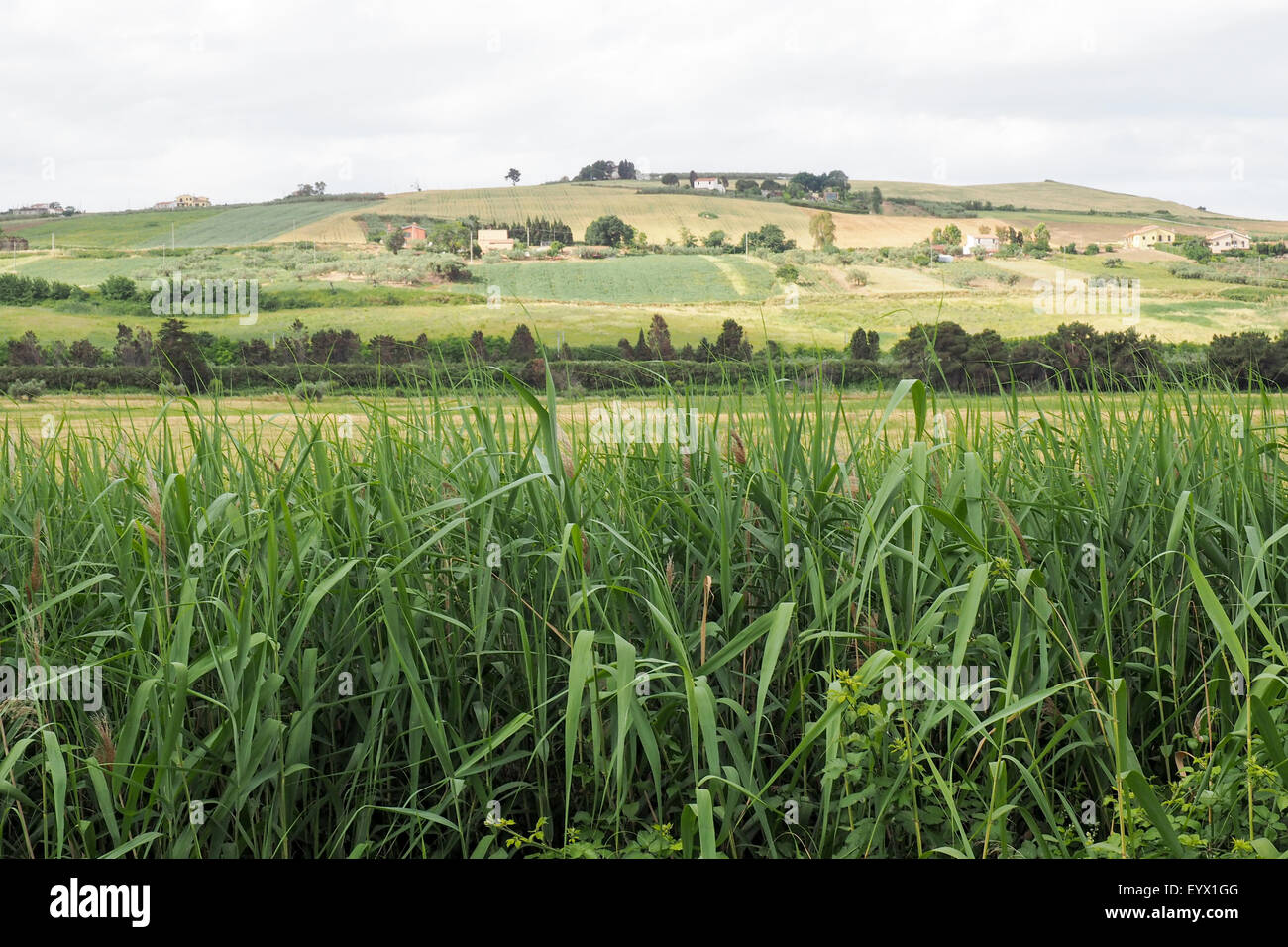 Farmhouses and farms on plan and rolling hills Stock Photo - Alamy