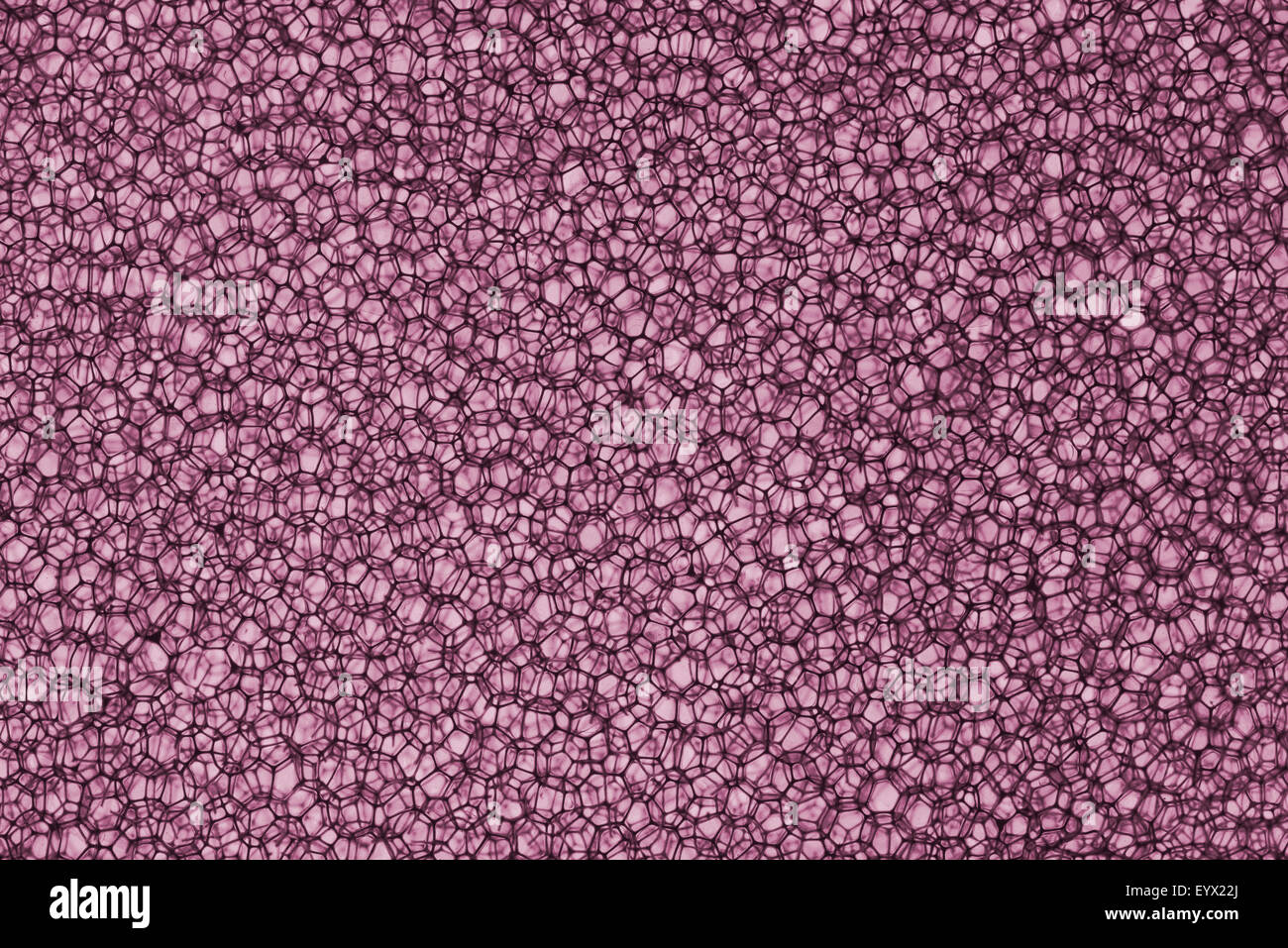 Foam sponge texture hi-res stock photography and images - Alamy