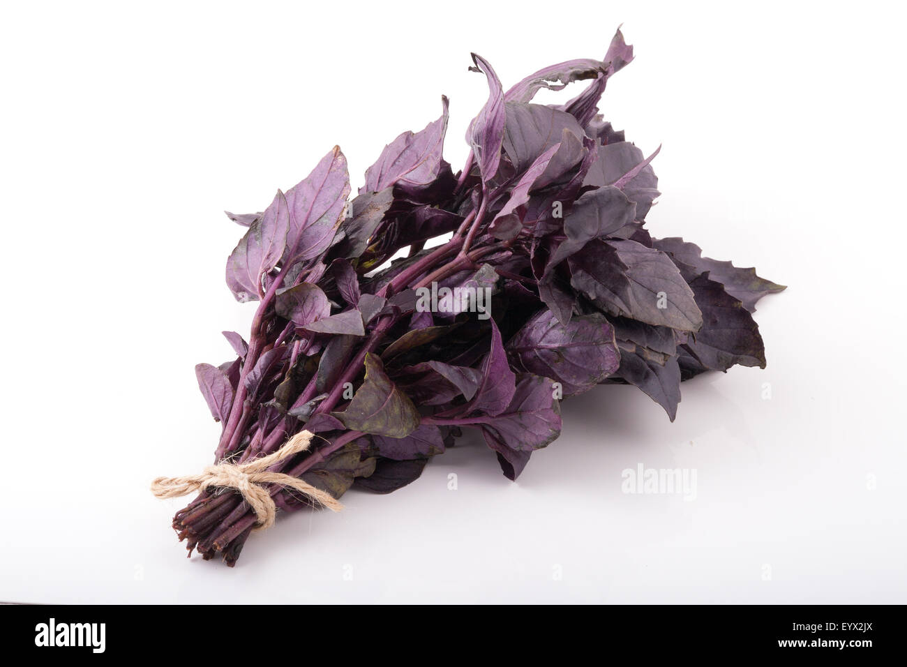 Small bunch of purple basil leaves, isolated Stock Photo - Alamy