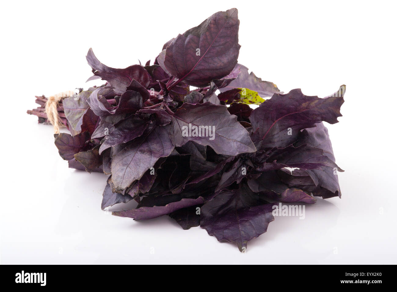 Purple Basil Stock Photos & Purple Basil Stock Images - Alamy