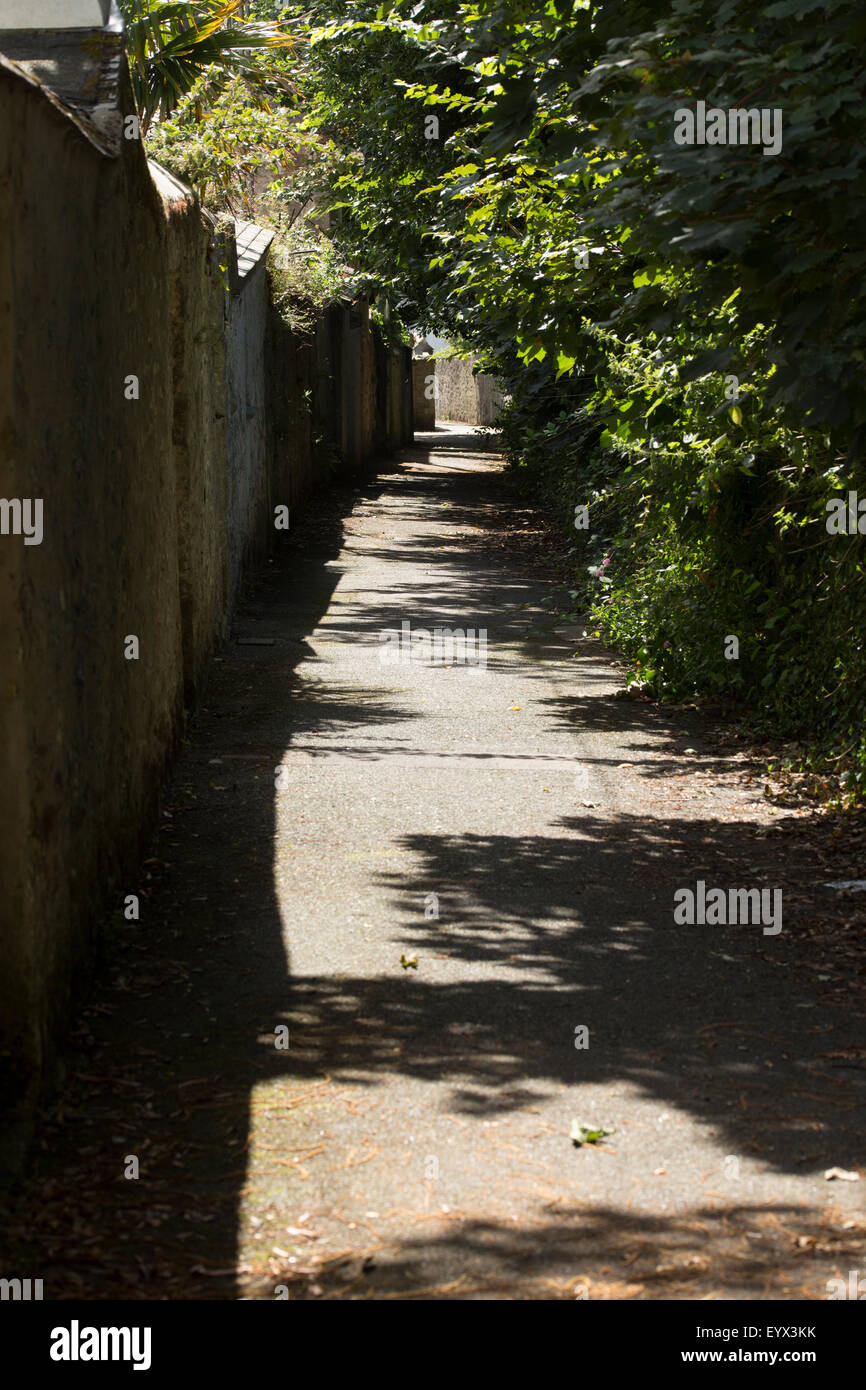 Behind the 19th century terraced houses of Morrab Road, Penzance Stock ...