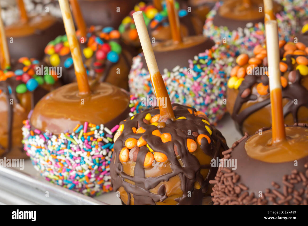 Tray of assorted variety of candy apples at state fair Stock Photo - Alamy
