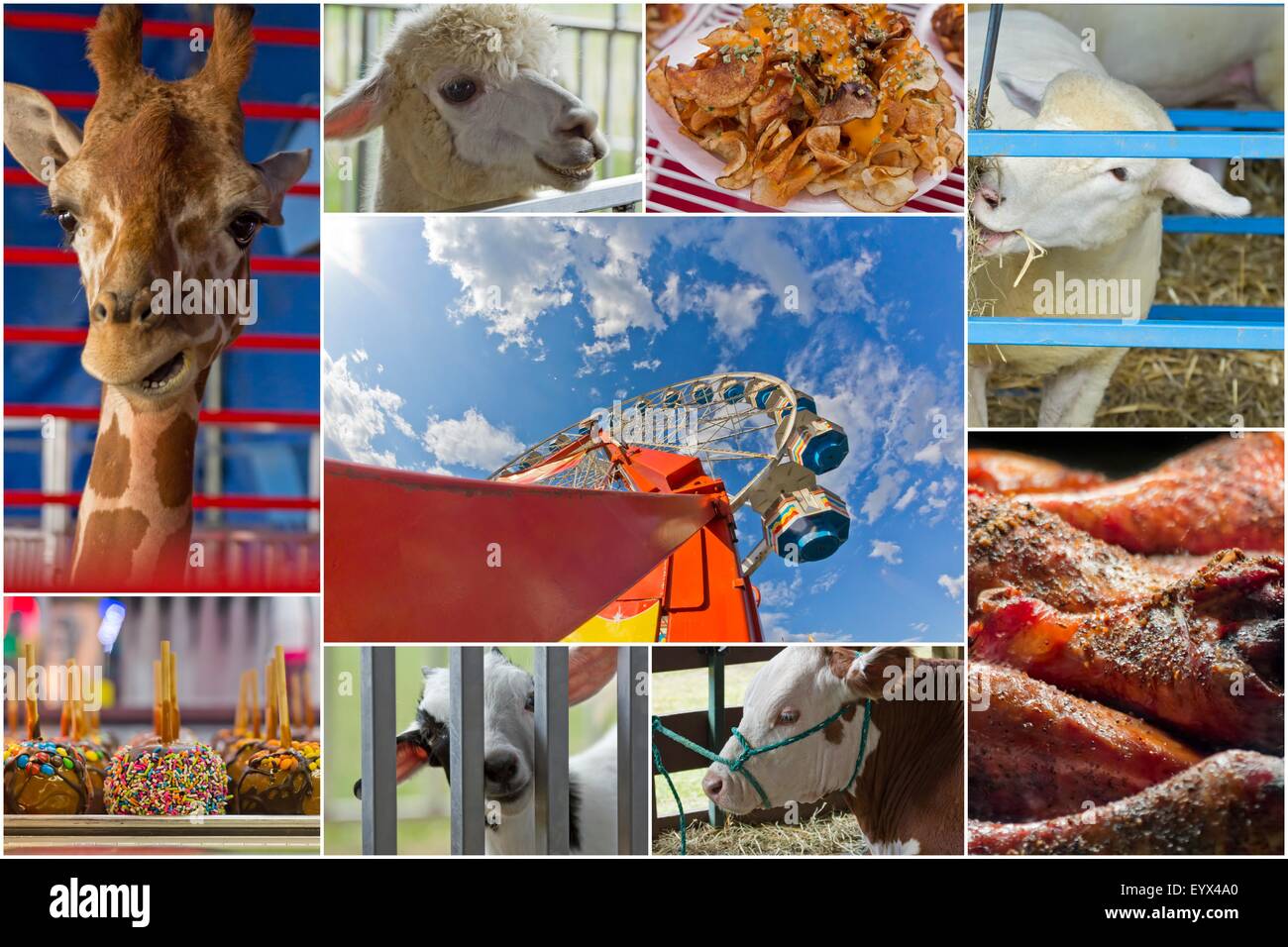 Attractions at summer carnival including animals rides and food in ...