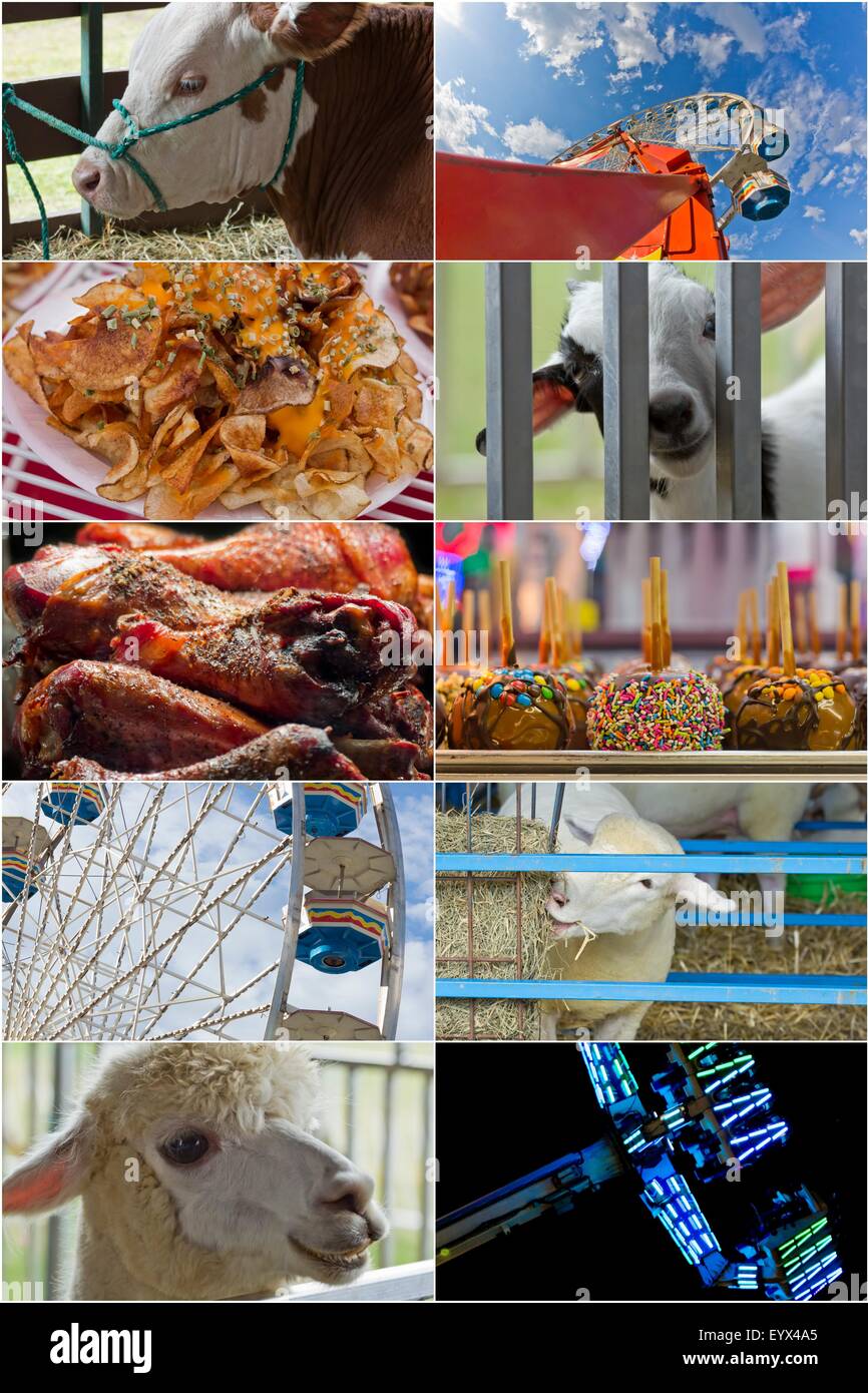 Carousel giraffe hi-res stock photography and images - Alamy