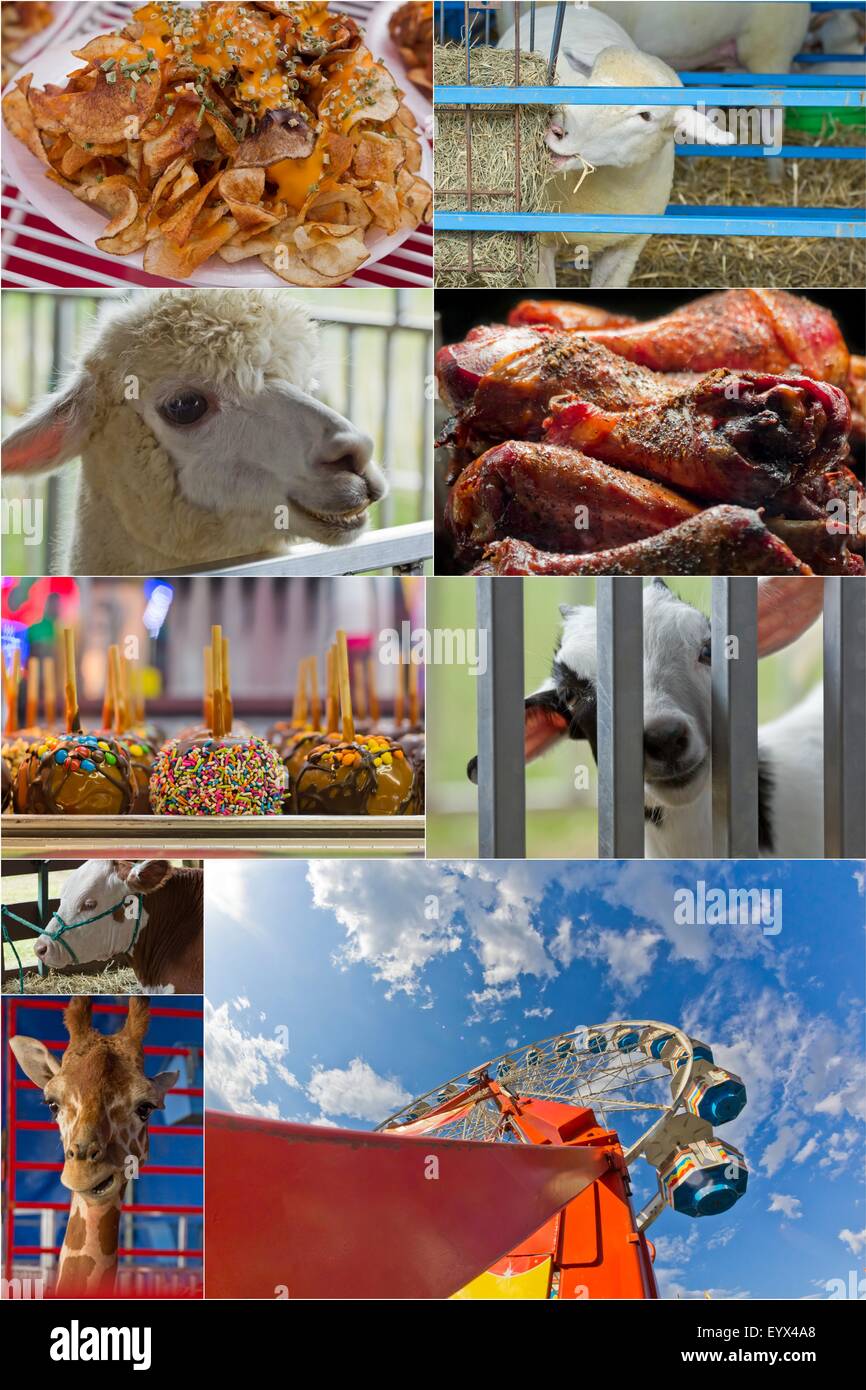 Attractions at summer carnival including animals rides and food in ...