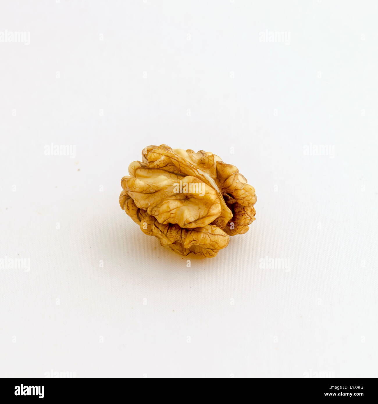 Whole walnut kernel Stock Photo - Alamy
