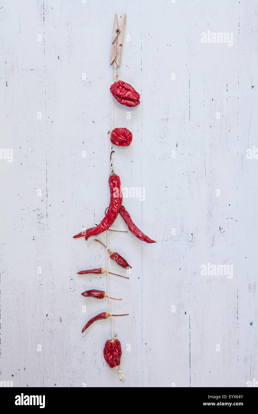 some types of hot chili peppers on rope for drying Stock Photo - Alamy