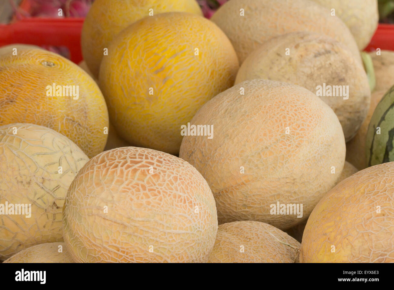 Bunch of melons hi-res stock photography and images - Alamy