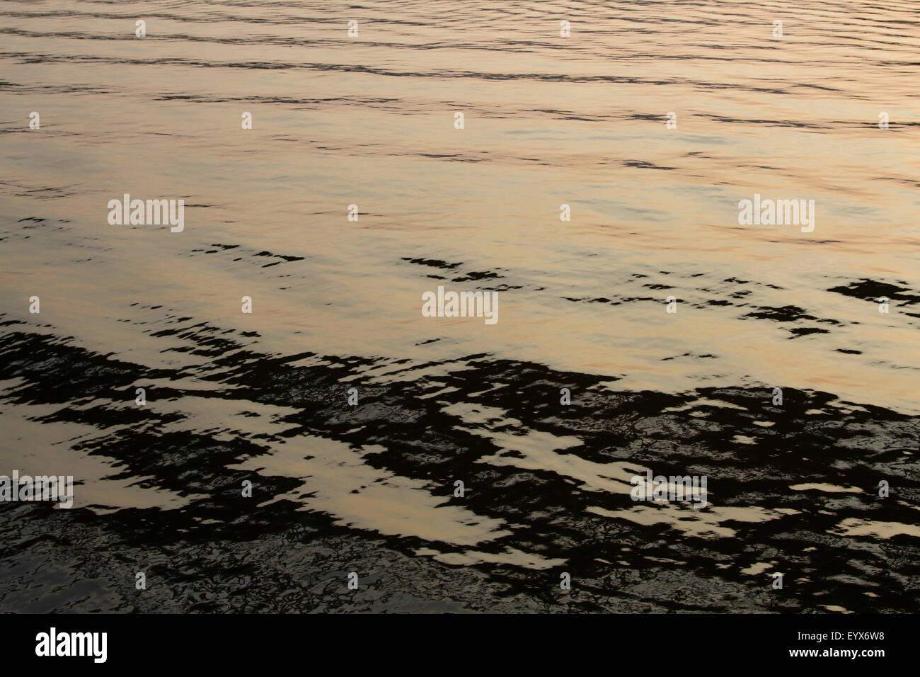 Evening light on the water Stock Photo - Alamy