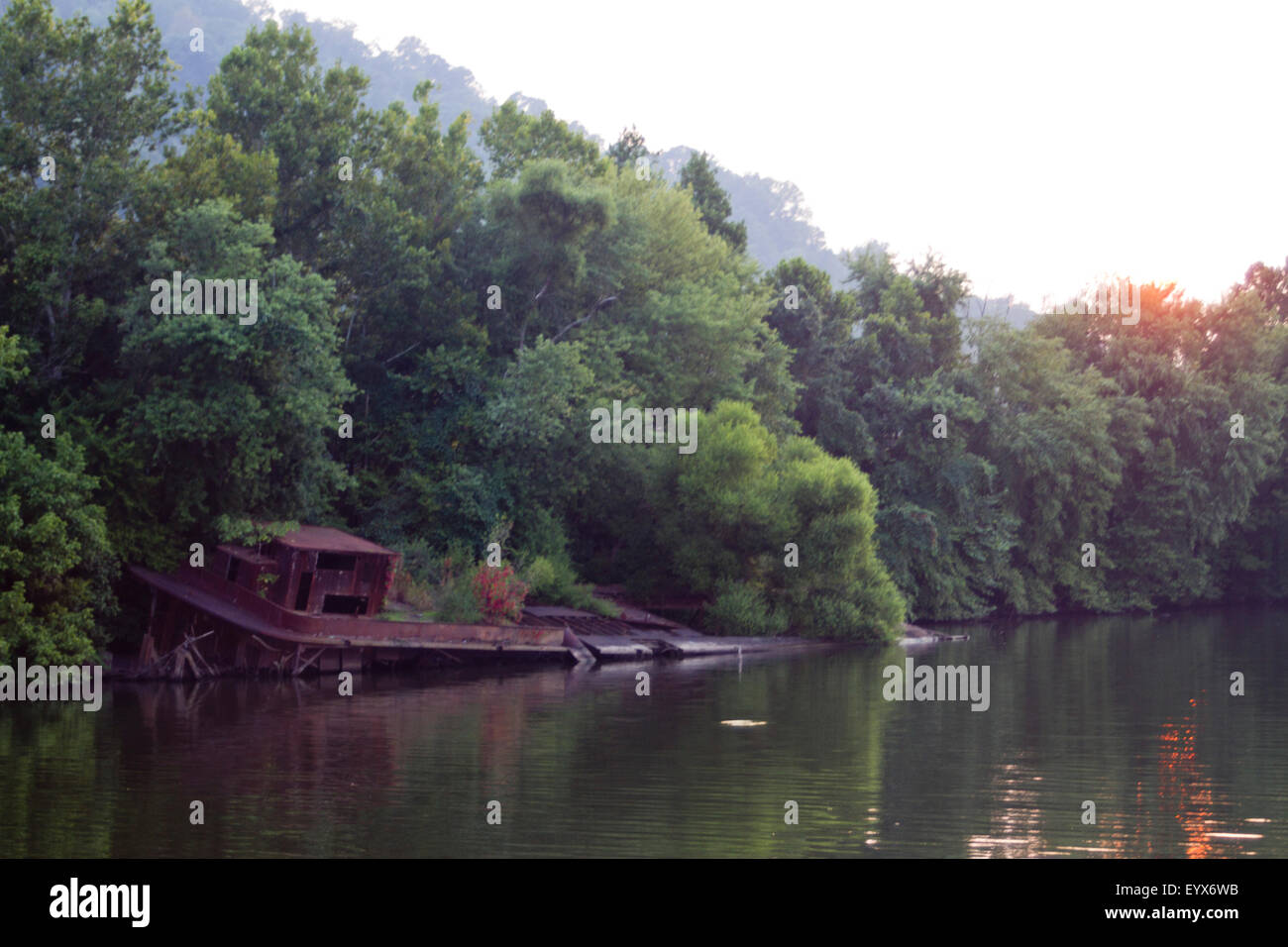 Derelict river boat on the bank Stock Photo - Alamy