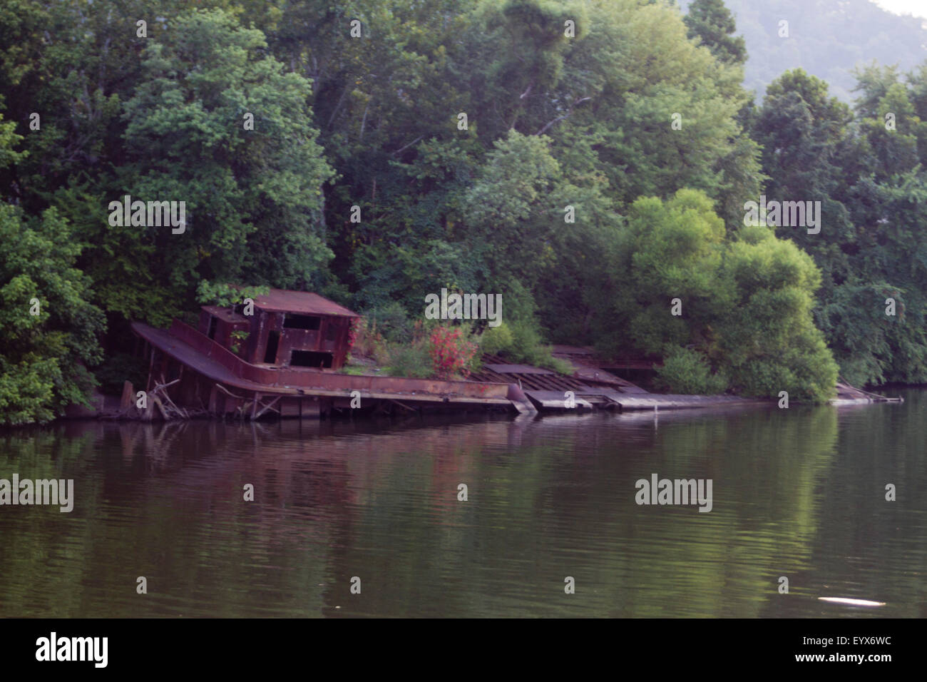 Wreck boat on bank river hi-res stock photography and images - Alamy