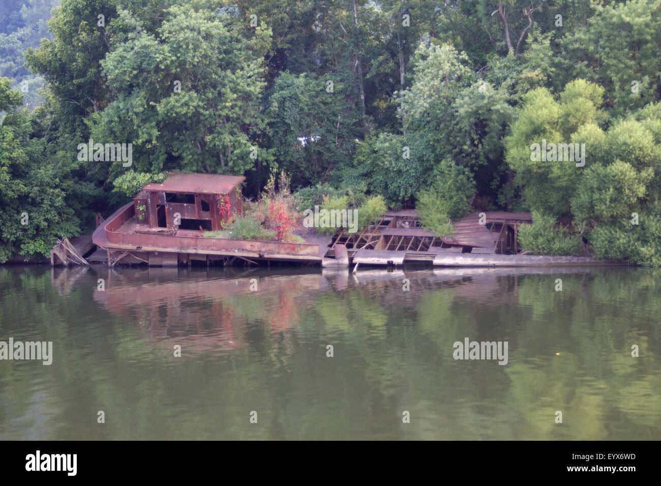 Derelict river boat on the bank Stock Photo - Alamy