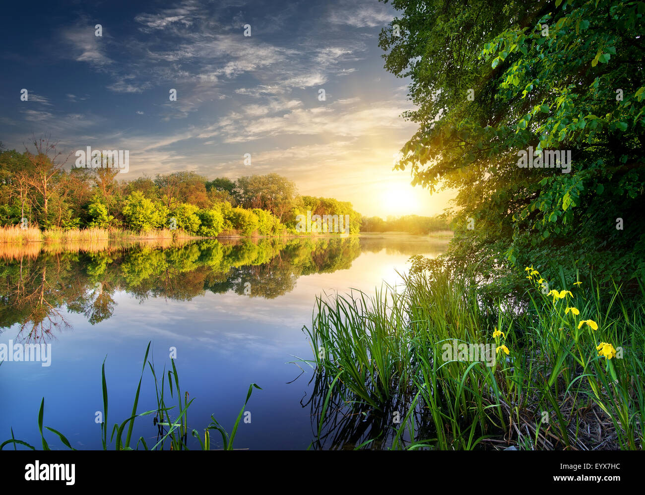 Beautiful river and flowers hi-res stock photography and images - Alamy