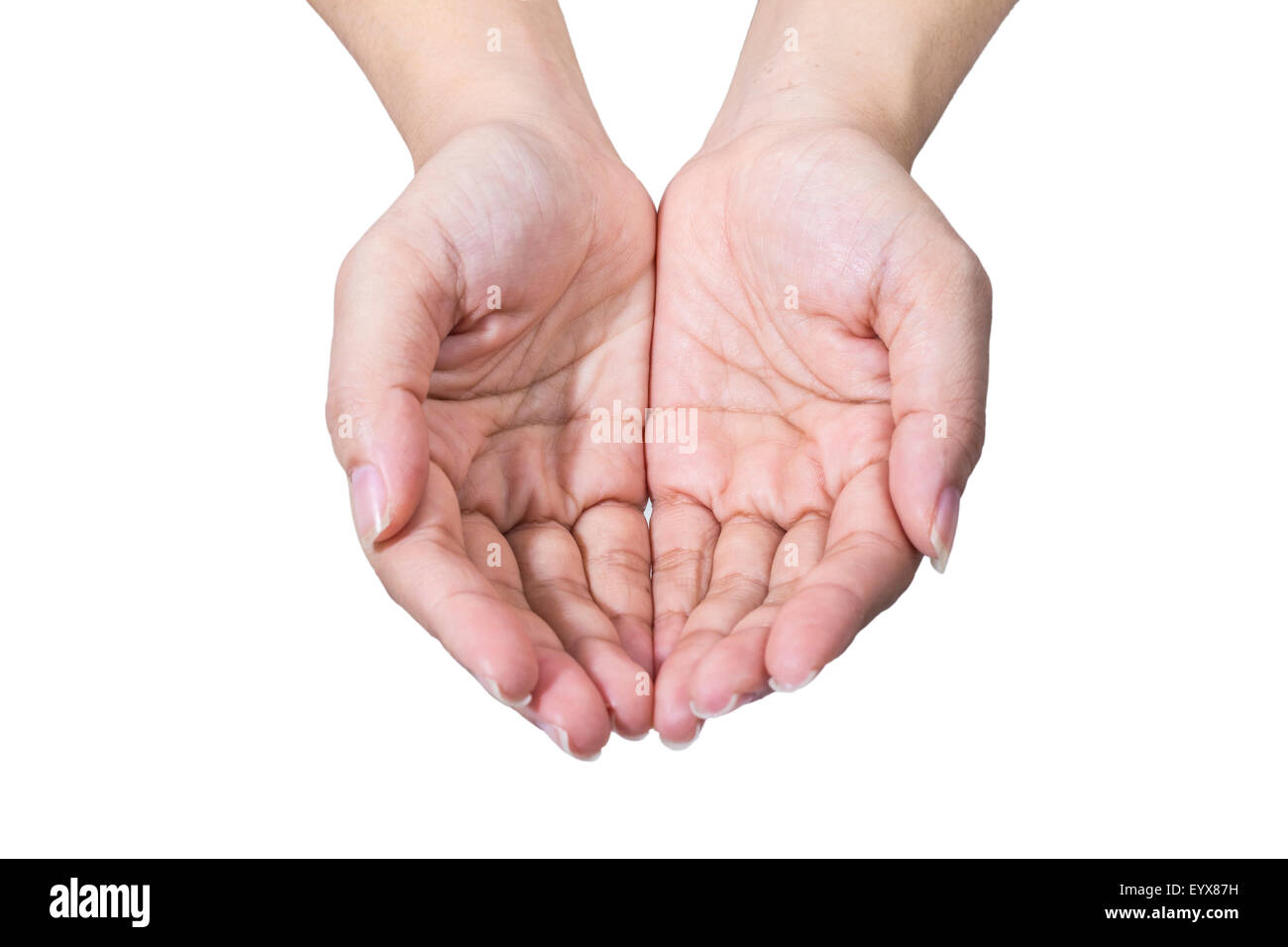 Open palm gesture. isolated on white background Stock Photo - Alamy