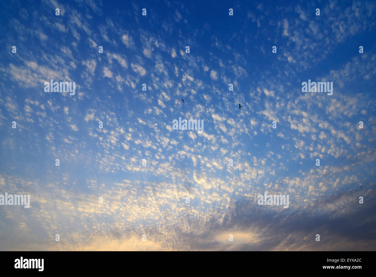 Dramatic sun sky clouds hi-res stock photography and images - Alamy