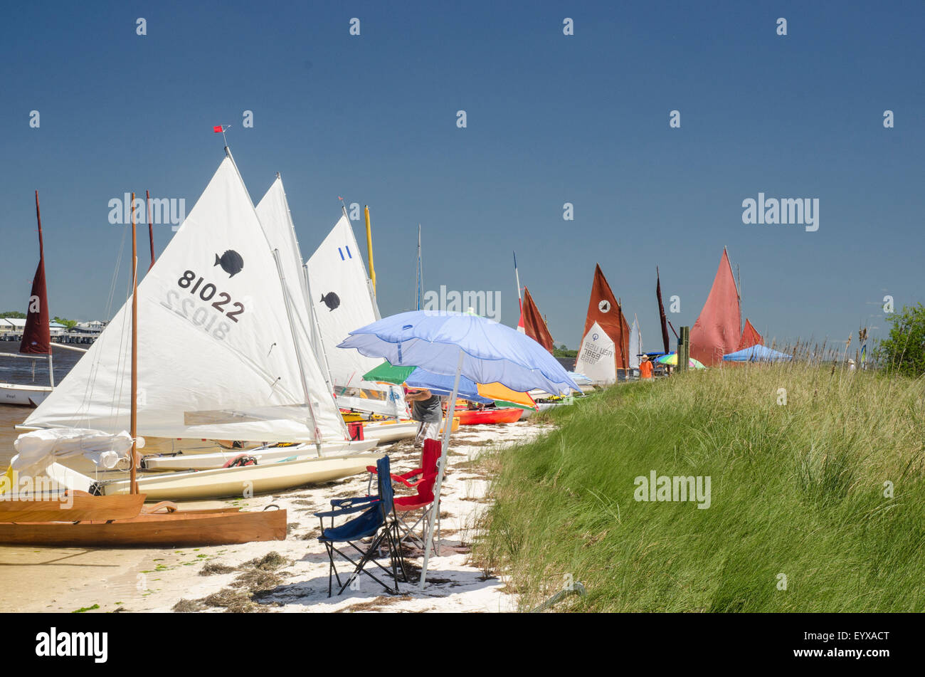 Sail Boats at Cedar Key small boat gathering Stock Photo - Alamy