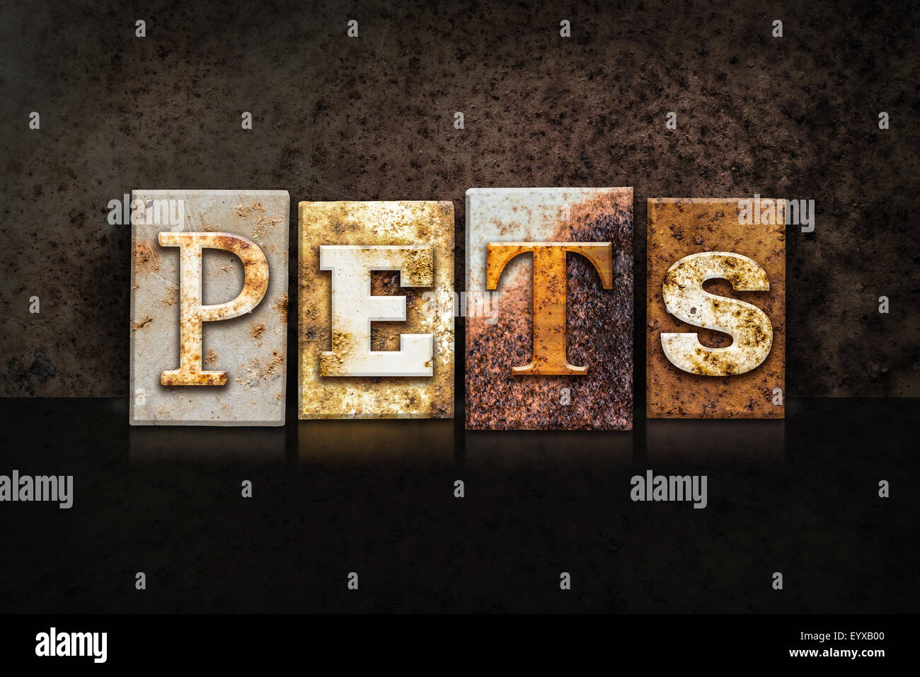 The word "PETS" written in rusty metal letterpress type on a dark ...
