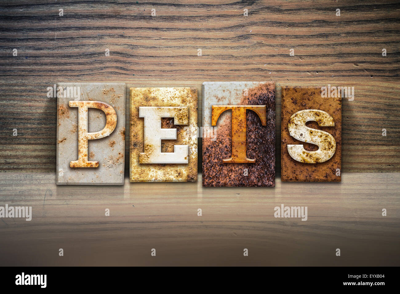 The word "PETS" written in rusty metal letterpress type sitting on a ...