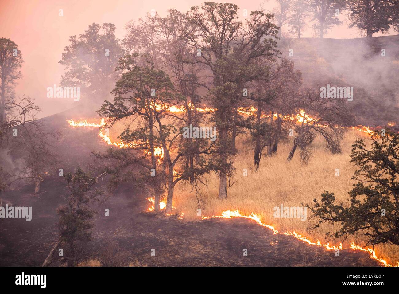 Clear Lake, CA, USA. 3rd Aug, 2015. The Rocky Fire burns over Highway ...