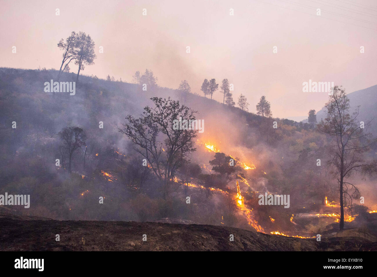 Clear Lake, CA, USA. 3rd Aug, 2015. The Rocky Fire burns over Highway ...