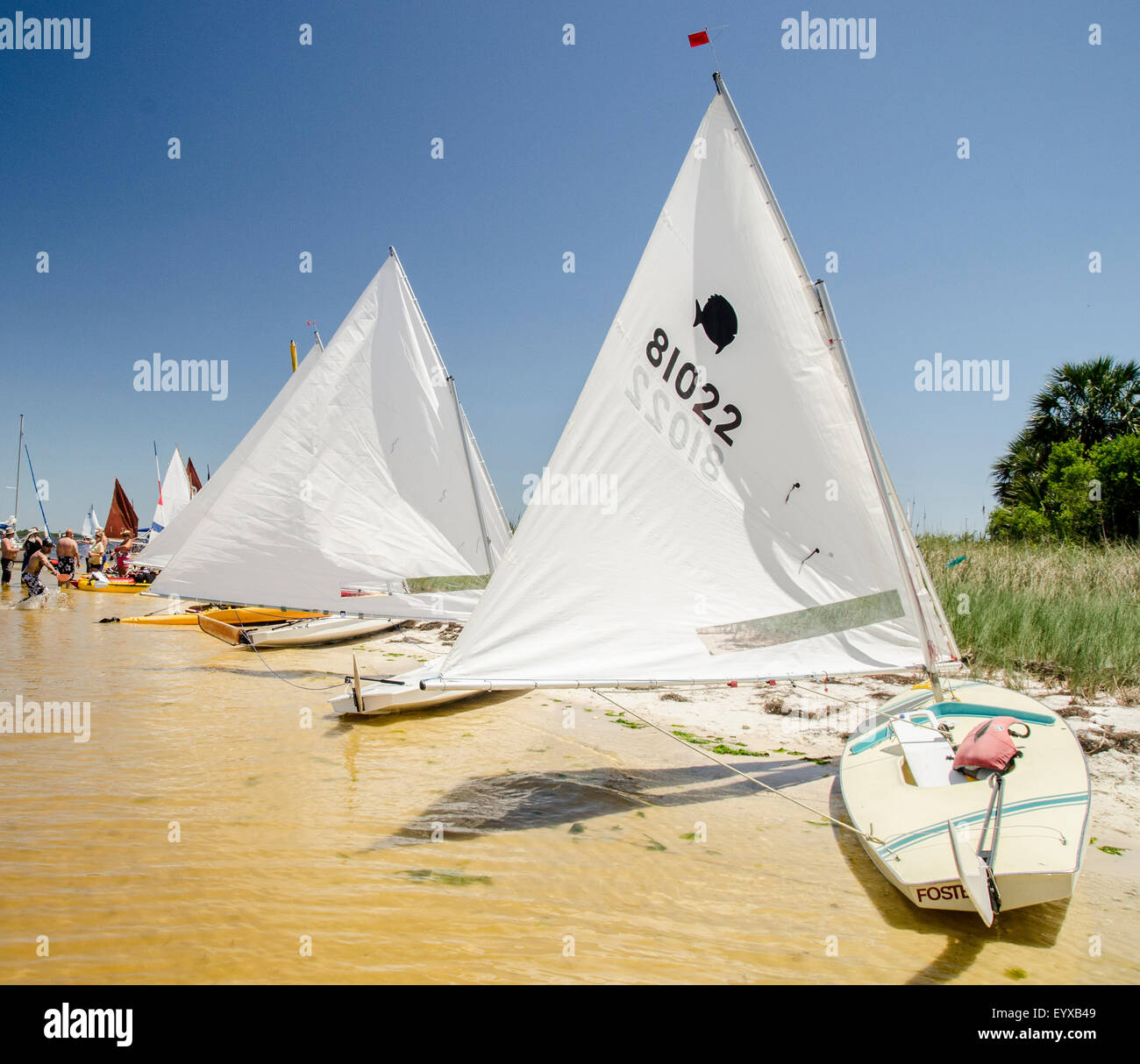 Sail Boats at Cedar Key small boat gathering Stock Photo - Alamy