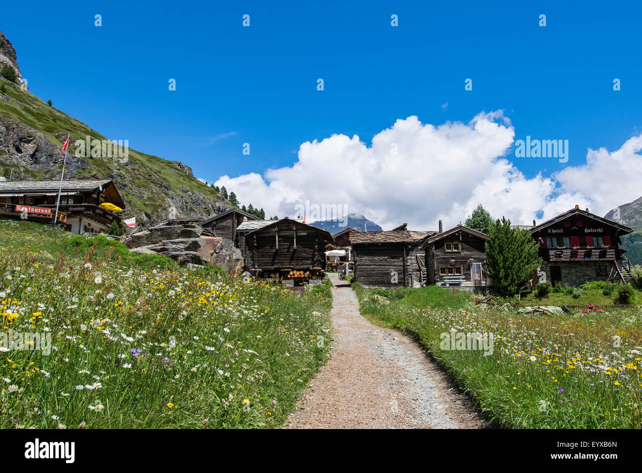 Old village of Zmutt near Zermatt sat amongst the alpine flower meadows ...